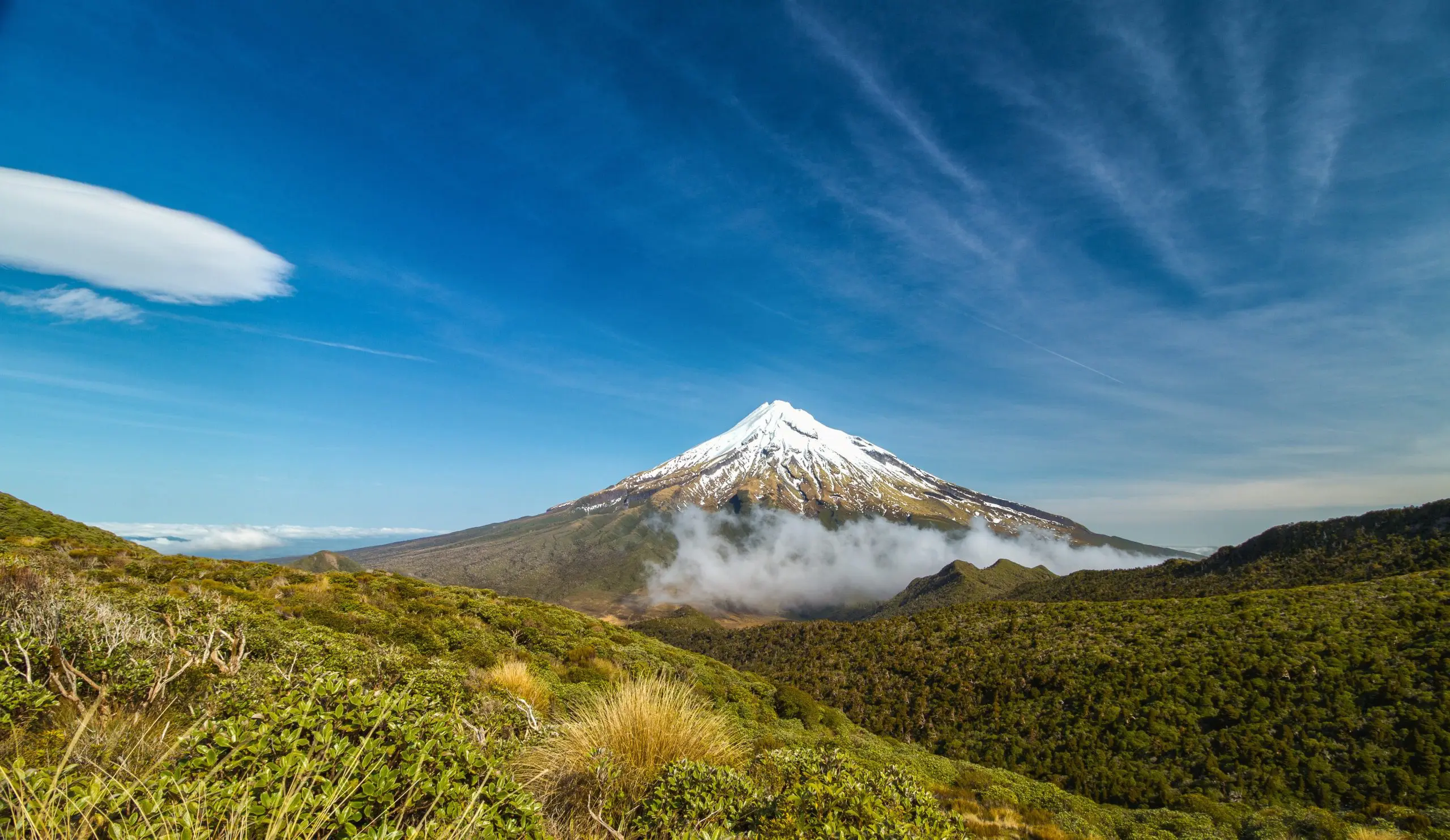 New Plymouth Movers | Furniture Movers New Plymouth | NZ Van Lines